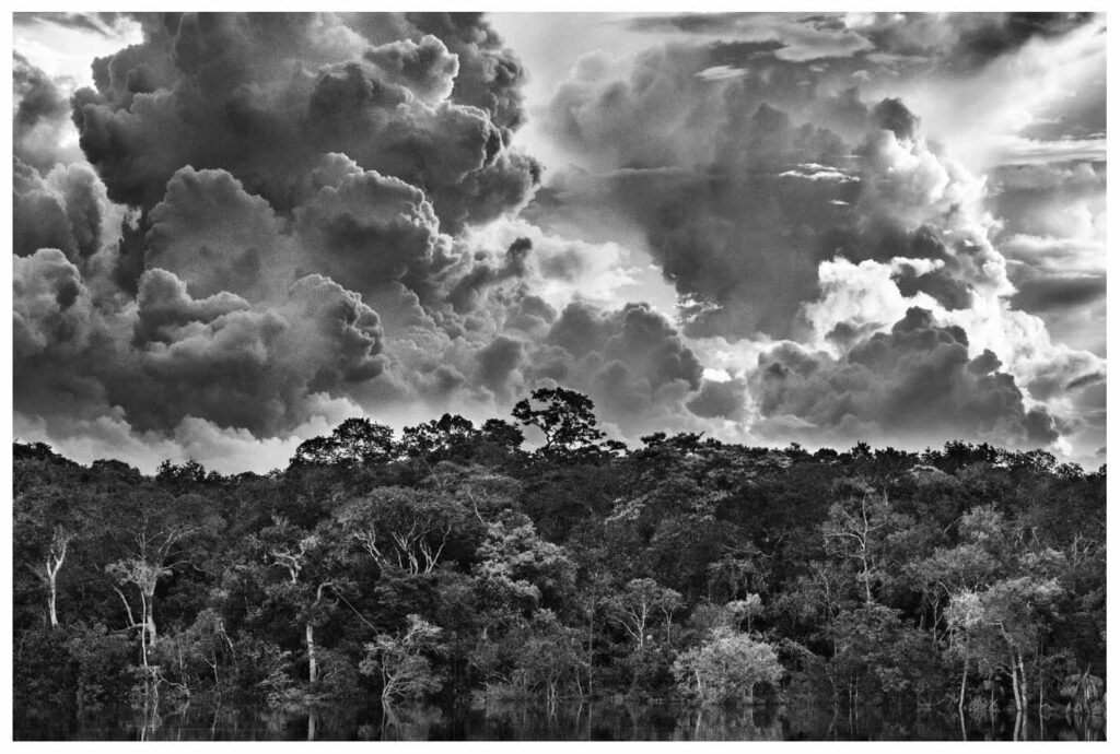 AMAZÔNIA DE SEBASTIAO SALGADO - Ramon Panosa